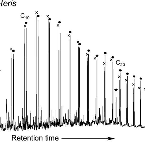 Pyrolysate Mass Chromatograms Of A B Lingulodinium Polyedrum Cysts
