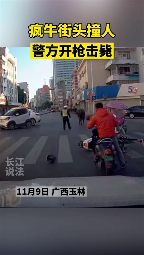 飞来横祸！疯牛街头撞人 警方开枪击毙 直播吧zhibo8cc