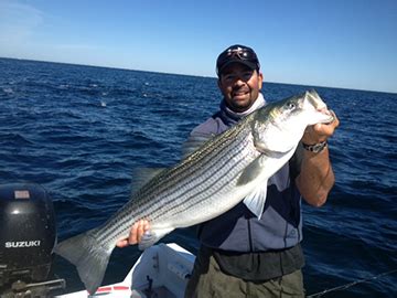 What Is Rod Power Fishing Trickyfish
