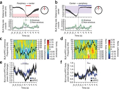 Bla Mpfc Activity Predicts Center Periphery Transitions Of Anxious Download Scientific Diagram