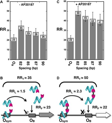 Chemically Induced Dimerization Triggers Taled Repression By Dna