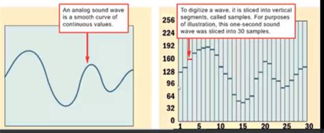 Week 10 Audio Flashcards Quizlet
