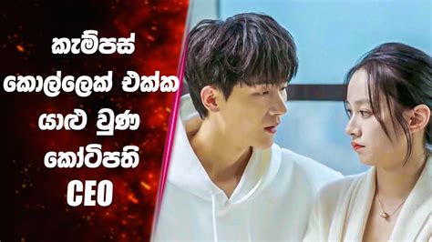 සංසාරගත ආදරය Destined To Meet You Movie Review Ending Explained