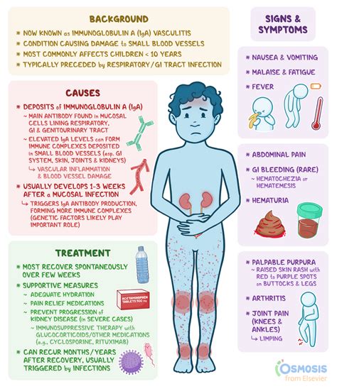 Henoch Schonlein Purpura Symptoms
