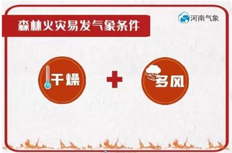 小布说天气｜寒潮影响进入尾声，本周气温有所回升澎湃号·政务澎湃新闻 The Paper