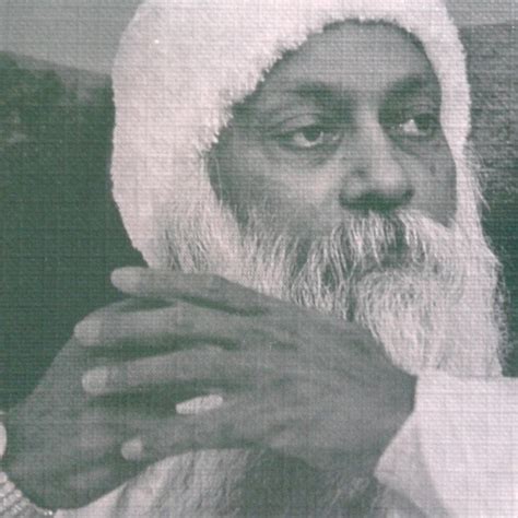 Can We Still Love Osho After Watching Wild Wild Country Elephant