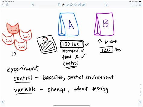 SOLVED The One Group Posttest Only Design The One Group Numerade