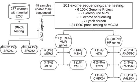 Flowchart Of Variants Detected Through Brca Screening And Wider