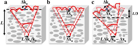 Figure 3 From The Generalized Optical Memory Effect Semantic Scholar