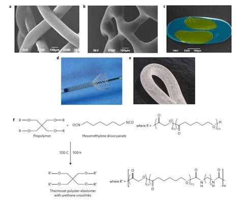 美研究人员在高强度可吸收的聚合物基复合生物支架领域取得新进展 中国聚合物网科教新闻