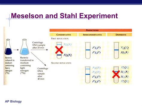 Dna Replication 2014 Ppt Ppt