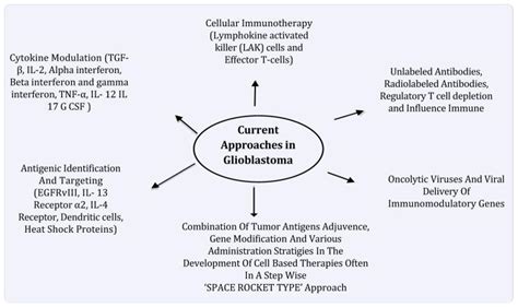 Current Studies Of Immunotherapy On Glioblastoma Abstract Europe Pmc