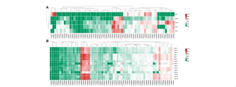 Heatmaps Of Lsbzip Genes Displaying Tissue Specific And Download