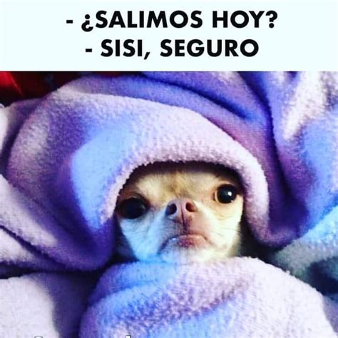 Cuando eliminaste a todo el ganado por una relación que no funcionó