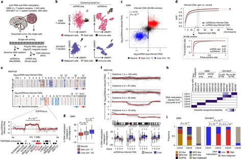 Multiomics Single Cell Sequencing Of Primary Human Gliomas Reveals
