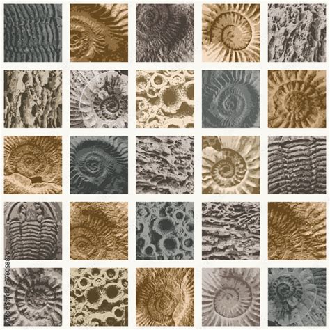 Vector Abstact Seamless Pattern Background With Sea Stone Texture With Imprints Of Ancient