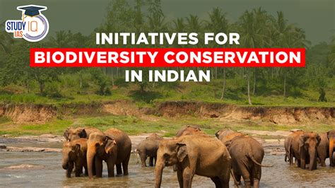 Initiatives For Biodiversity Conservation In India