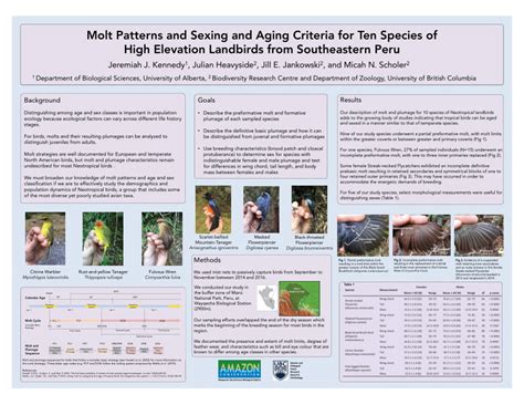 Pdf Molt Patterns And Sexing And Aging Criteria For Ten Species Of High Elevation Landbirds