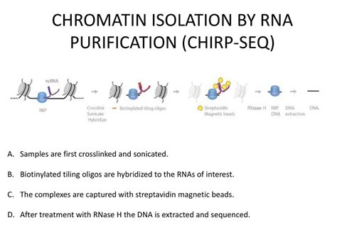 Sequencing Methods Veb Ppt Download