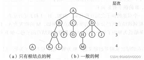 数据结构学习笔记5树和二叉树独立元素能在一条树上吗 Csdn博客