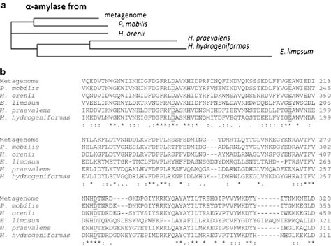 Multiple Sequence Alignment A An Unrooted Phylogenetic Tree Showing
