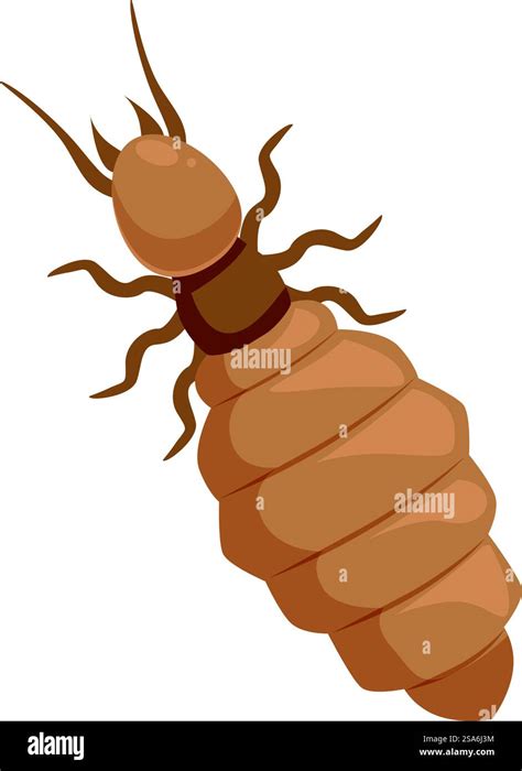 Termite Walking Showing Its Antennae And Segmented Body Termite Is