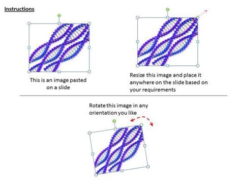 Stock Photo Design Of Dna Biological Functions Ppt Template