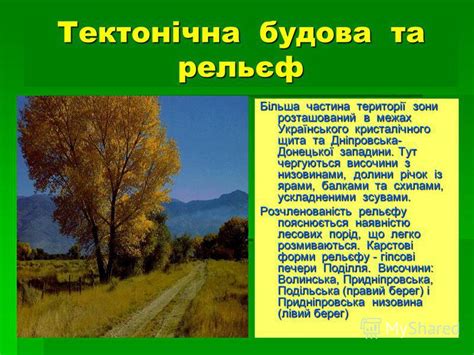 Презентация на тему Природні зони України Зона лісостепу України