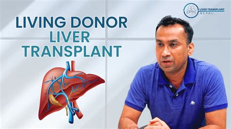 Living Donor Liver Transplant Process Safety And Recovery Dr