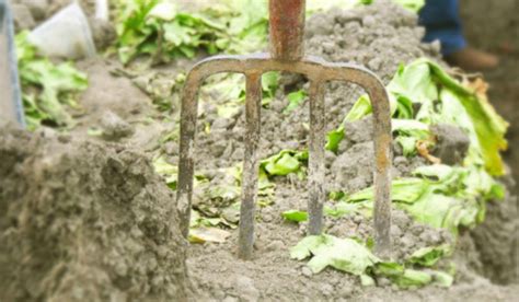 January Health Check For Soil Indicators AHDB