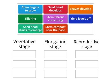 Stages Of Grass Growth Group Sort