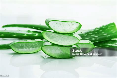 조각 알로에 베라 젤과 알로에 베라 신선한 나뭇잎 화이트 복사 공간에 고립 0명에 대한 스톡 사진 및 기타 이미지 0명 가시 건강관리와 의술 Istock