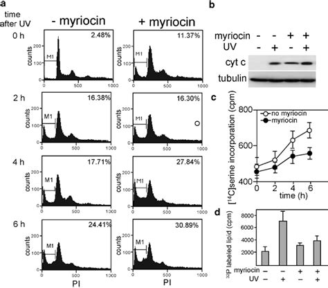 Blocking De Novo Ceramide Synthesis With Myriocin A Myriocin Does