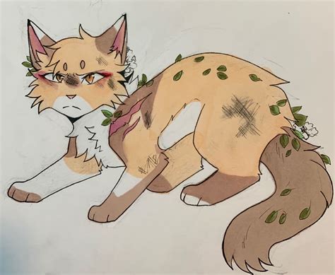 Random Cat Artofit