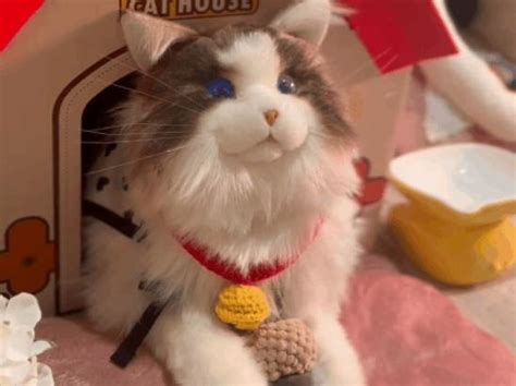 陪伴宠物米塔 猫 metaCat超萌上线硬科技也可以柔软治愈 互联网 科技快报 砍柴网