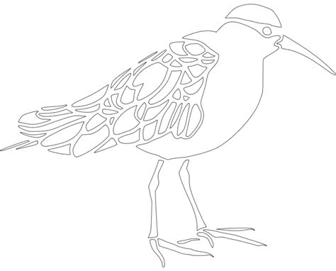 Bird Dxf File Free Download