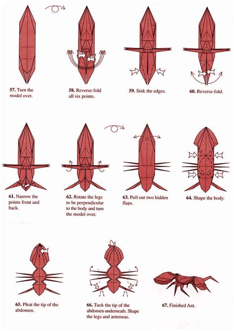 Complex Origami Instructions Pdf Jadwal Bus