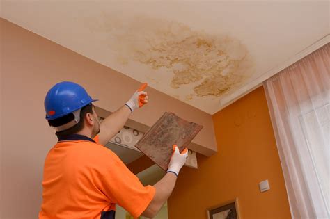What To Do If Your Roof Is Leaking Kitchens Doors Xpress