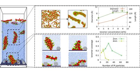 Morphology Evolution And Adsorption Behavior Of Ionomers From Solution To Ptc Substrates