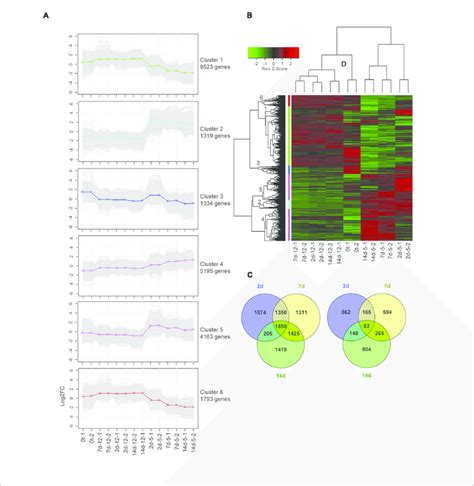 Differential Expression Profile Of Transcripts Following Cold