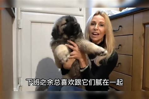 女子怀孕六个月狗狗总是蹭她肚子，发现不对劲，检查后当场失控！狗狗肚子检查