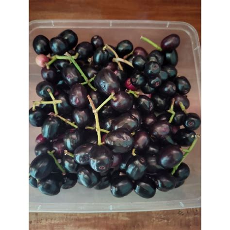 Jual Buah Juwet Jamblang Kemasan 1kg Shopee Indonesia