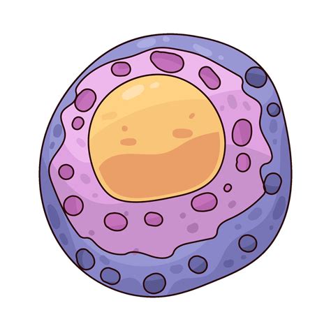 Illustration Of Nucleus 55317698 Vector Art At Vecteezy