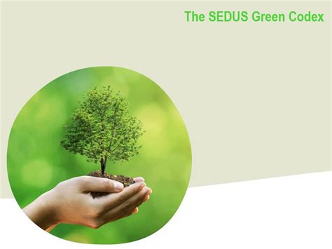 The Sedus Green Codex