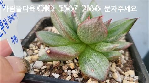 올 한해도 수고많으셨어요 새해도 멋진 삶속에 행운가득한 나날되시길 기원합니다~~ Youtube