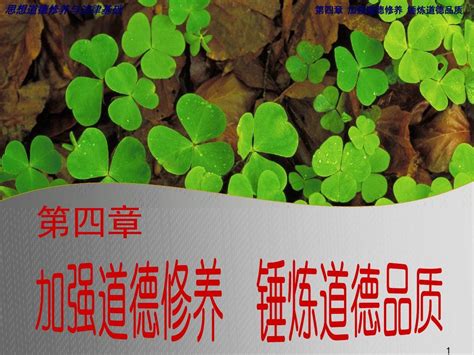 思修道德修养word文档在线阅读与下载免费文档