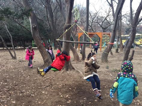 사 한국숲밧줄놀이연구회 아이들은 숲에서 놀고 어른들은 밧줄연수를 하고 주말엔 초등숲학교 별똥별이
