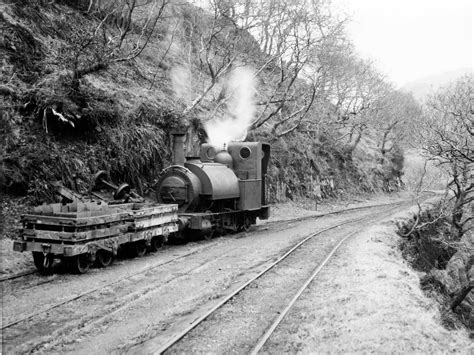 Talyllyn Model Railway Rail Transport Model Railroad