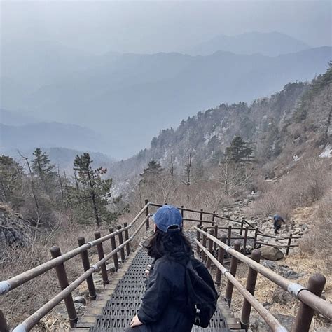 지리산 등산코스 최단코스 칼바위 로타리대피소 법계사 개선문 천왕봉 블랙야크 100대 명산 네이버 블로그