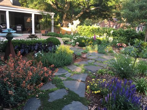 Path Through Perennial Garden Creeping Thyme Planted Between Stepping Stones Garden Paths